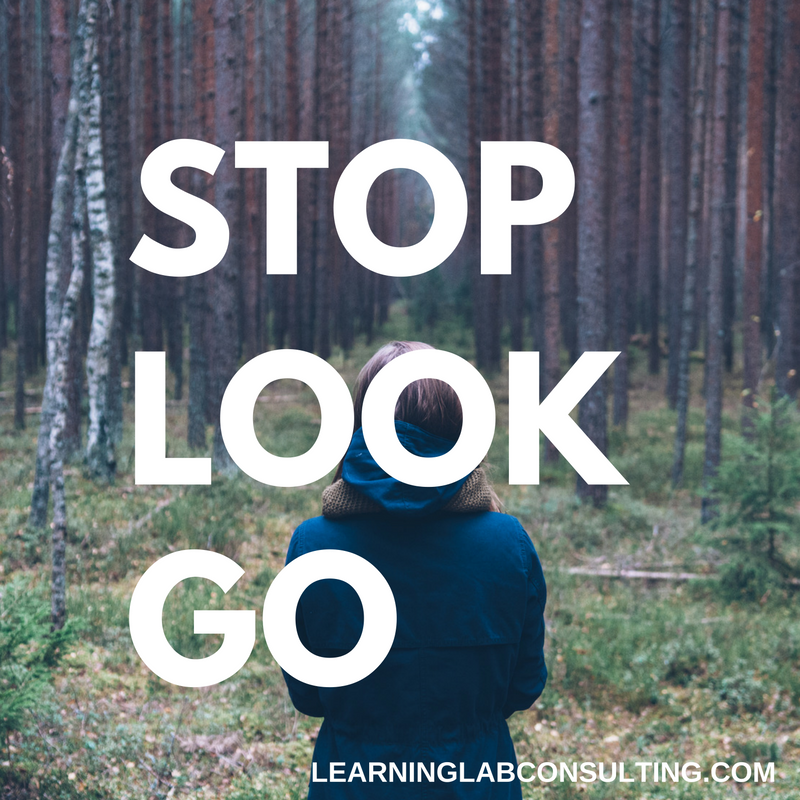Stop, Look, Go: A Mindful Gratitude Practice from David Steindl-Rast ...